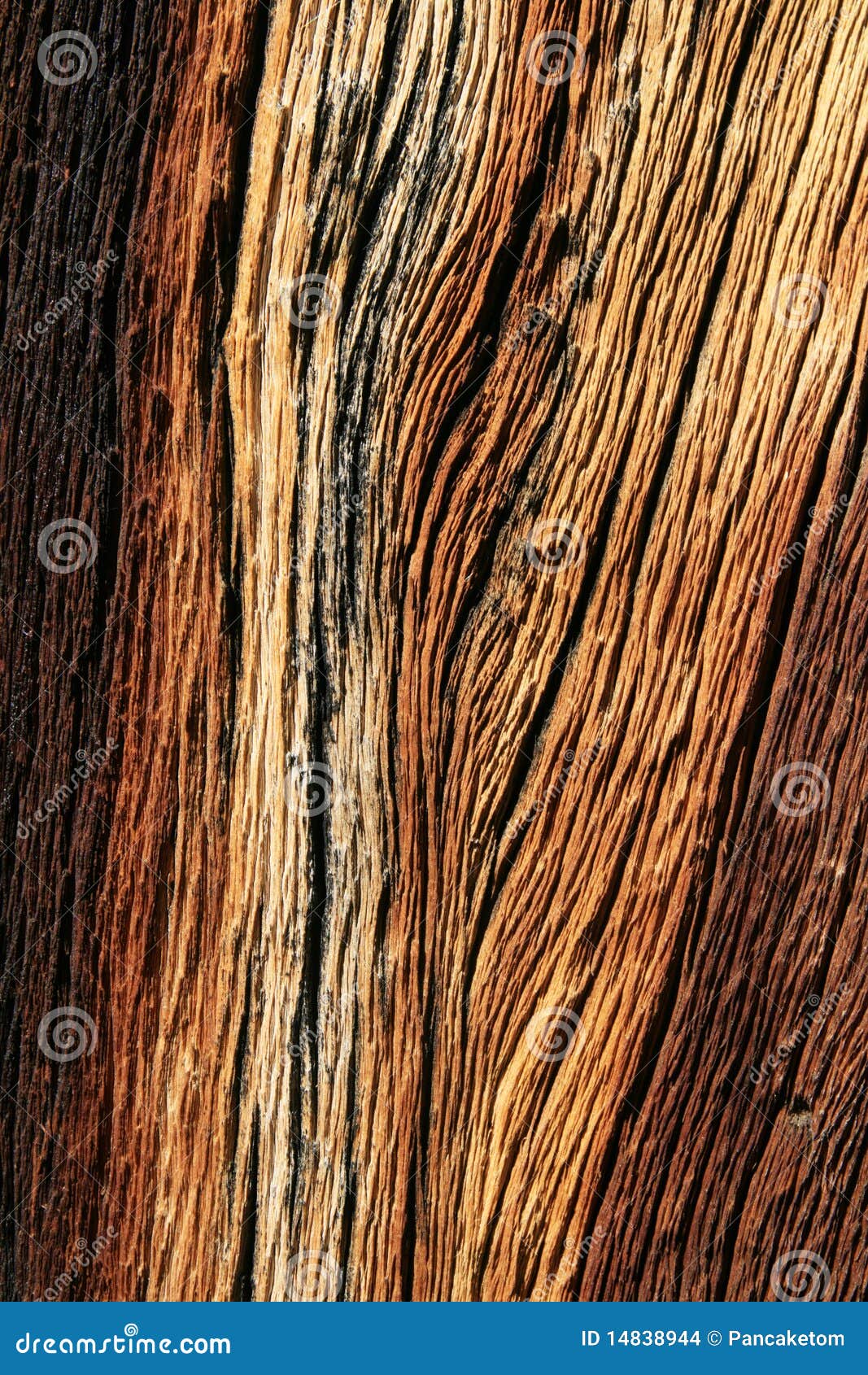 Weathered pine wood stock photo. Image of crack, condition - 14838944
