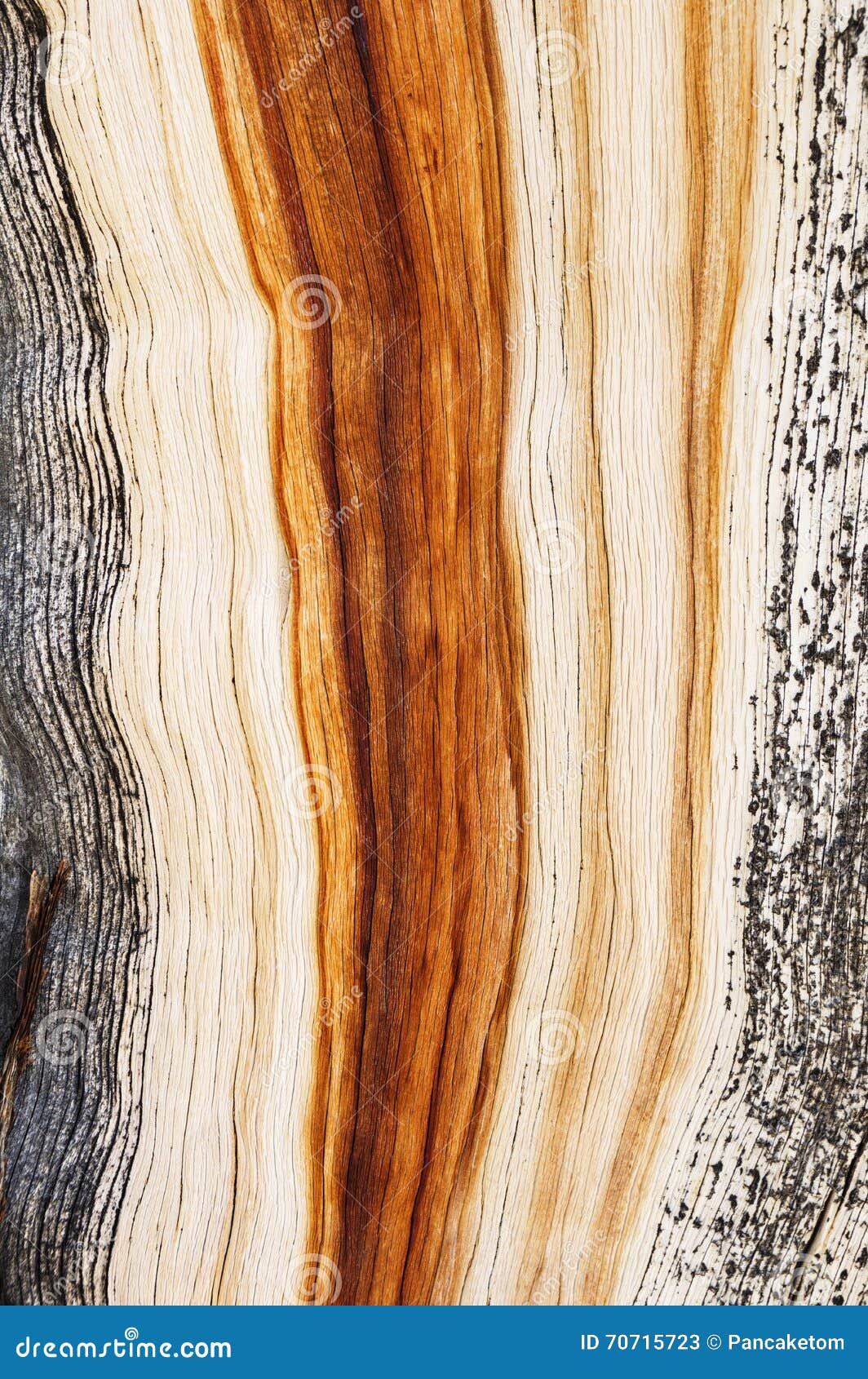 Weathered Pine Wood Grain stock image. Image of brown - 70715723
