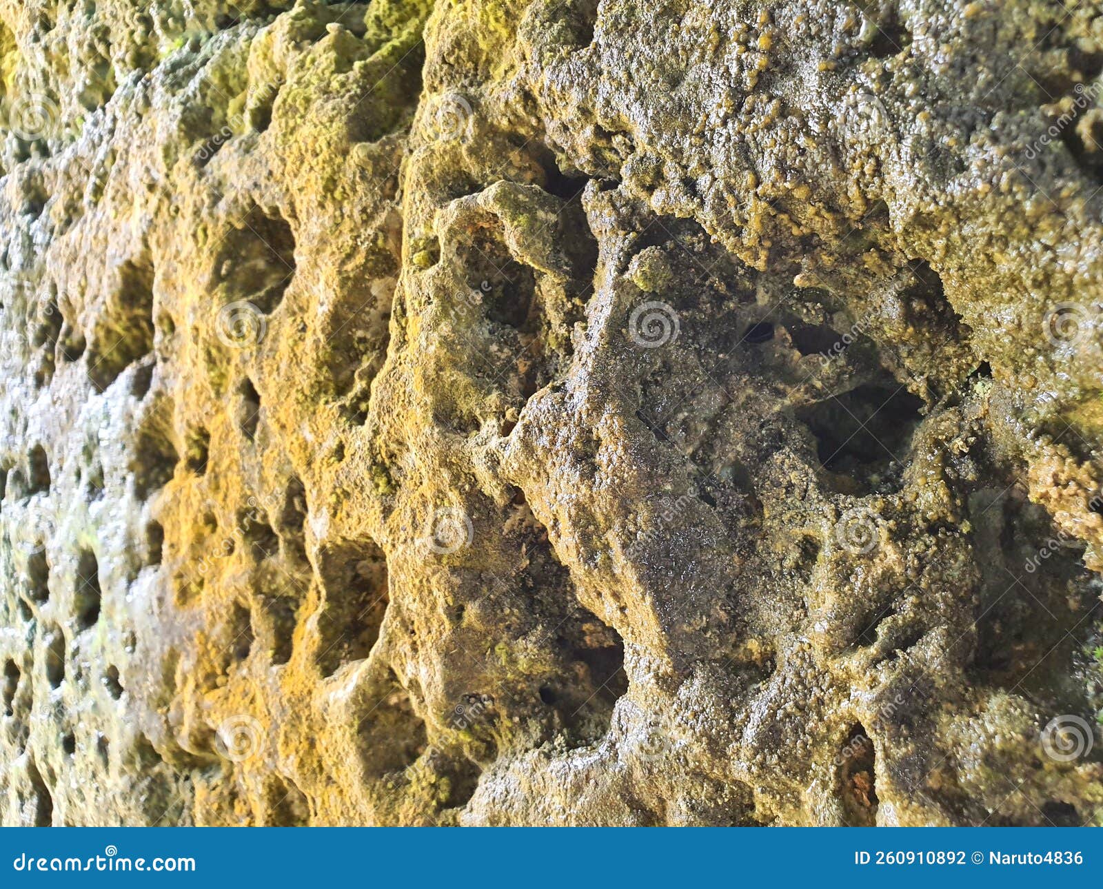 Weathered porous wall stock photo. Image of depression - 260910892