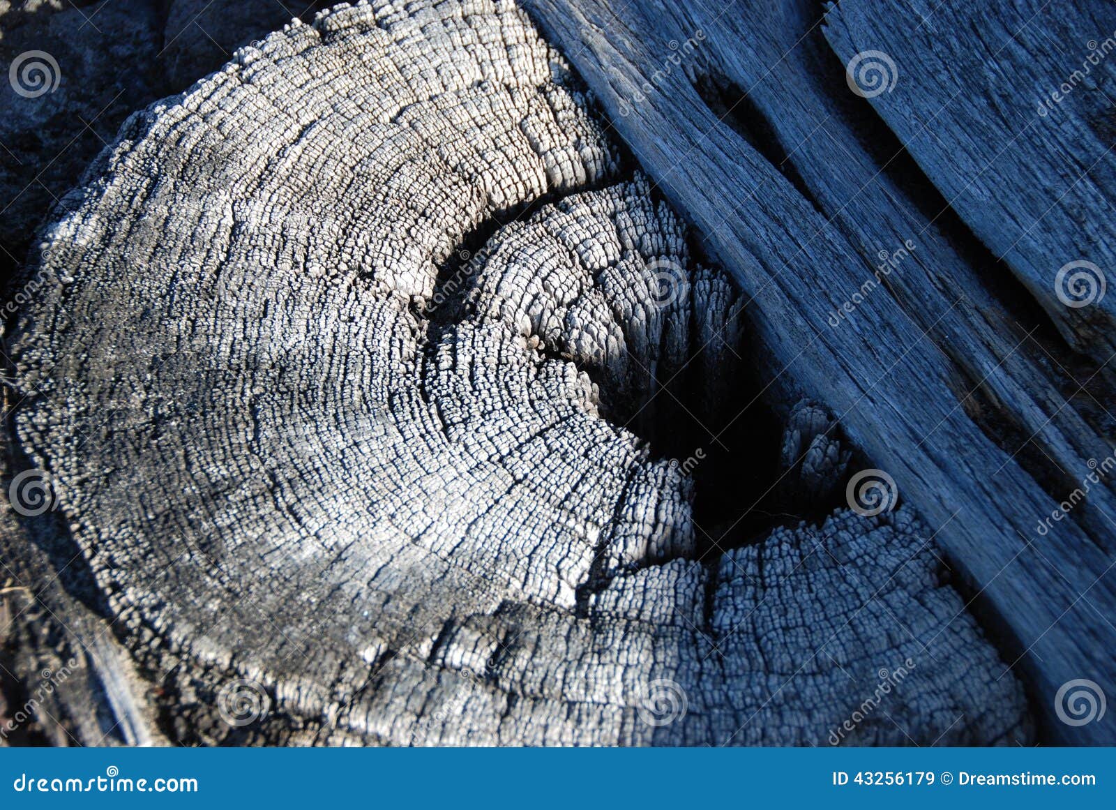 Weathered post stock image. Image of support, weathered - 43256179
