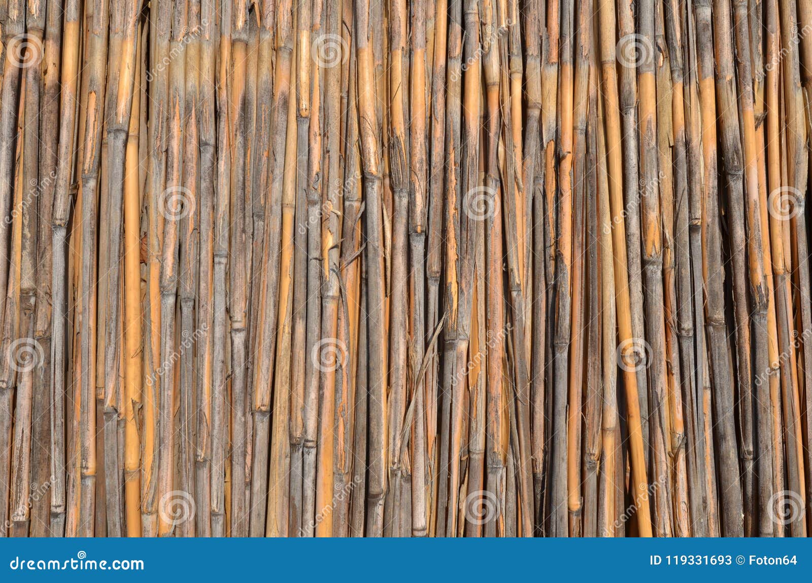 Weathered Reed Sticks. Rustic Background. Stock Image - Image of ...