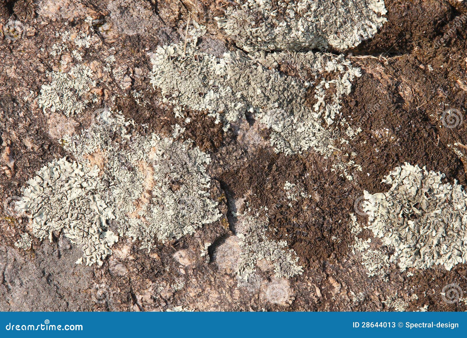 Weathered Rock stock image. Image of texture, rotten - 28644013