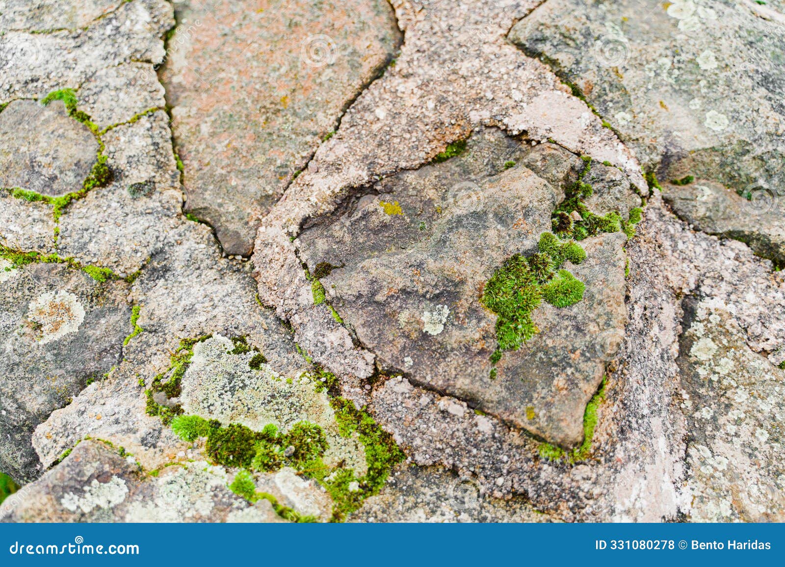 Weathered Rocks Texture Embedded in the Ground Floor Stock Photo ...