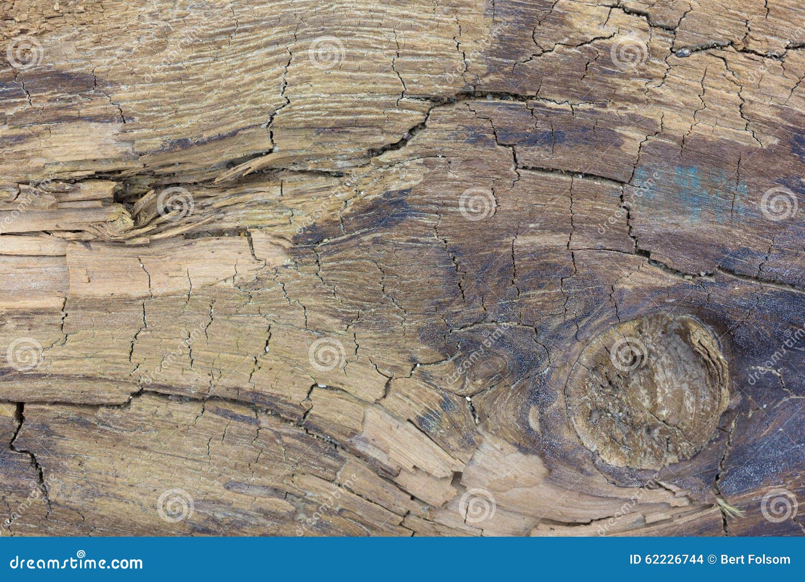 Weathered Rotting Old Board with Large Knot Stock Photo - Image of ...