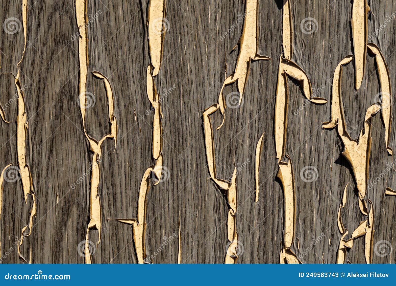 Weathered Rough Painted Surface with Patterns of Cracks. Grunge Texture ...