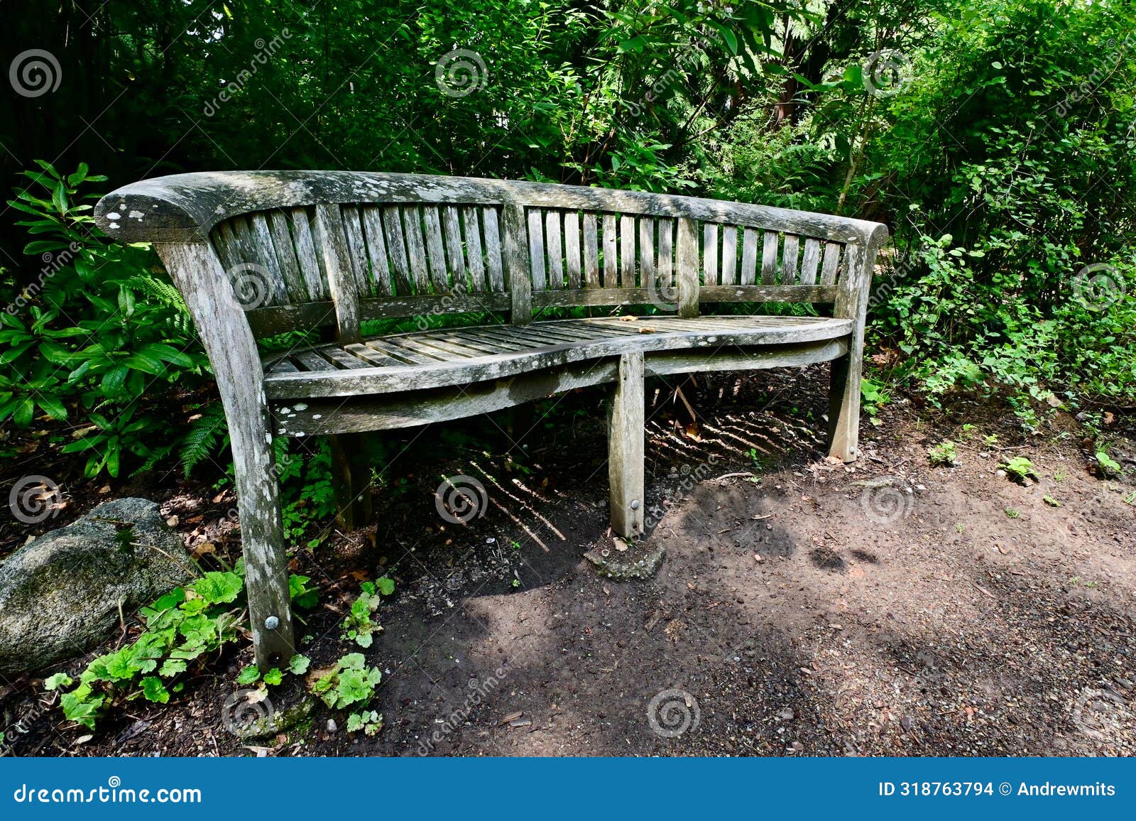 Weathered Rustic Wood Bench in Temperate Rainforest Stock Photo - Image ...