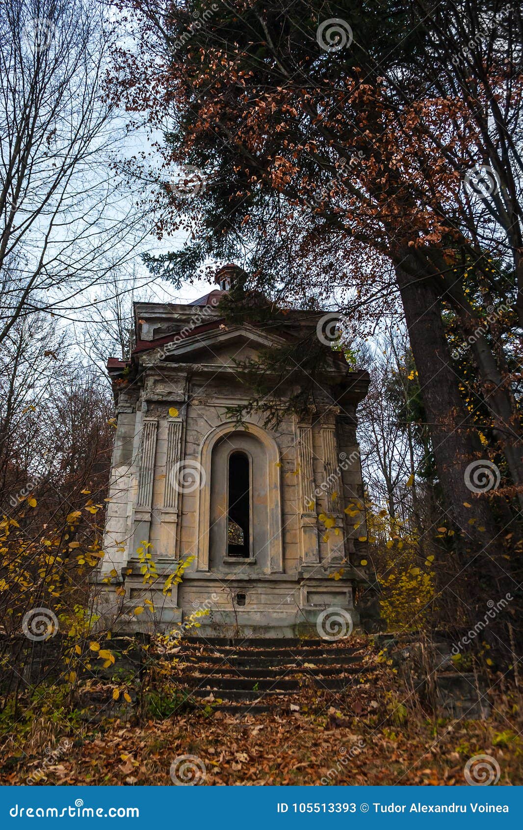 A Weathered Spooky Crypt in the Forest Late Autumn Stock Image - Image ...