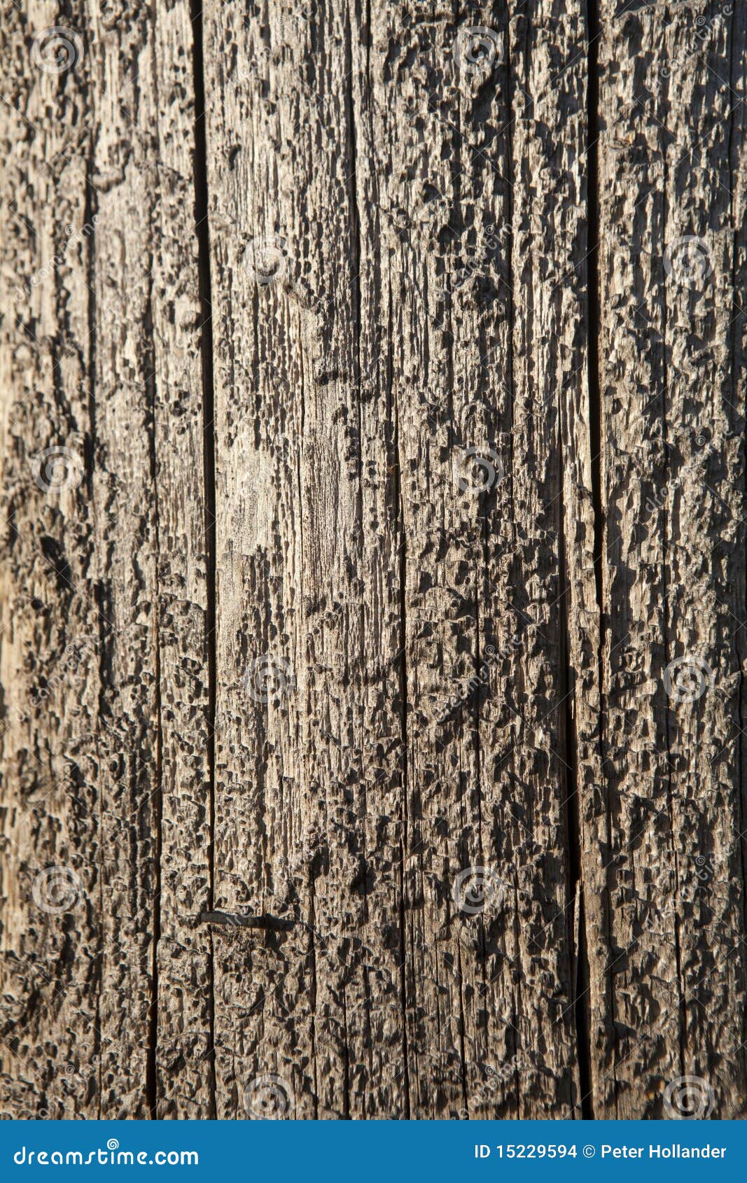 Telephone Pole Texture
