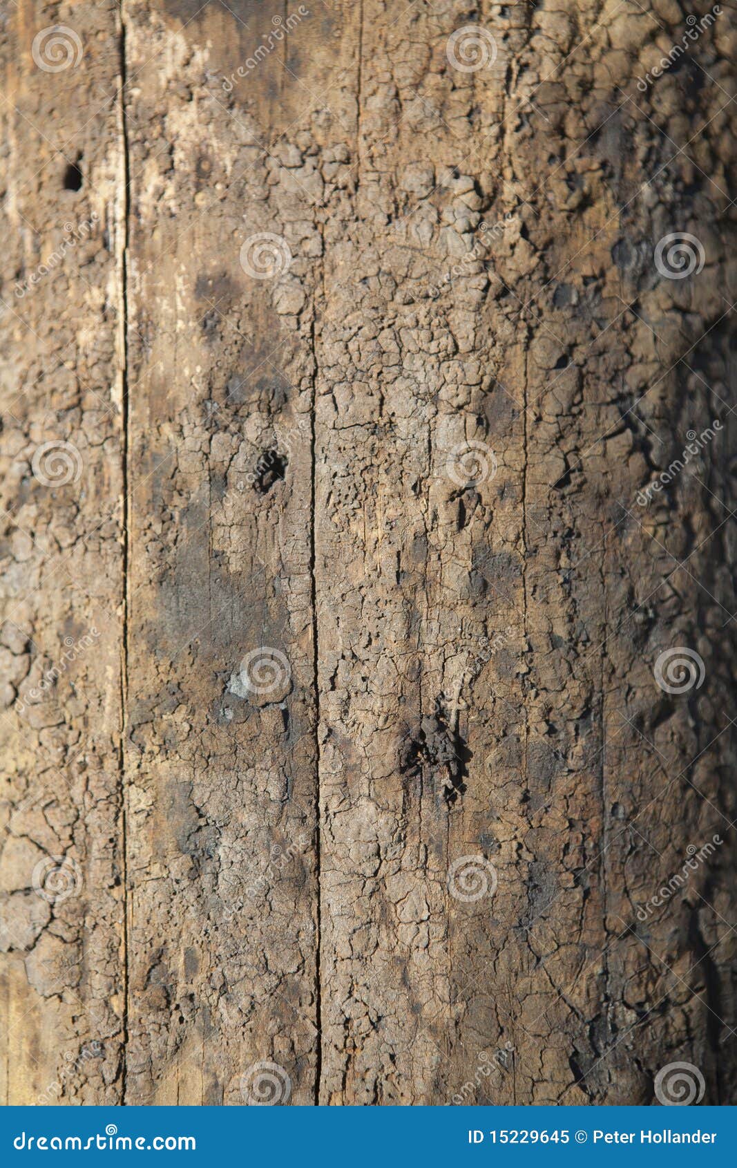 Weathered Telephone Pole stock image. Image of dilapidated - 15229645