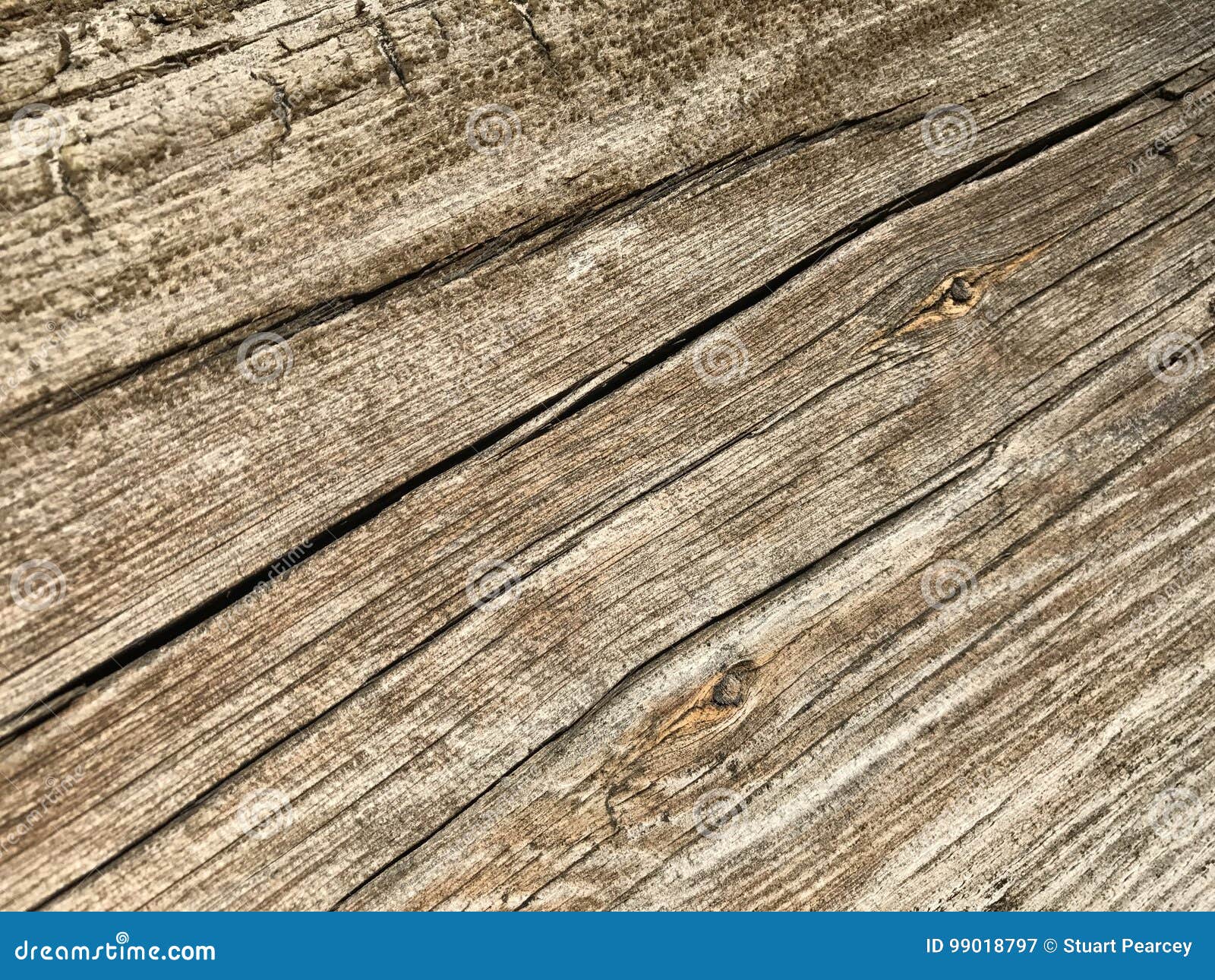 Weathered timber stock image. Image of standing, wood - 99018797