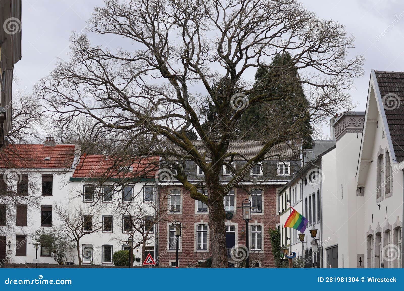 Weathered Tree in a Courtyard with a LGBT Pride Flag on the Building ...