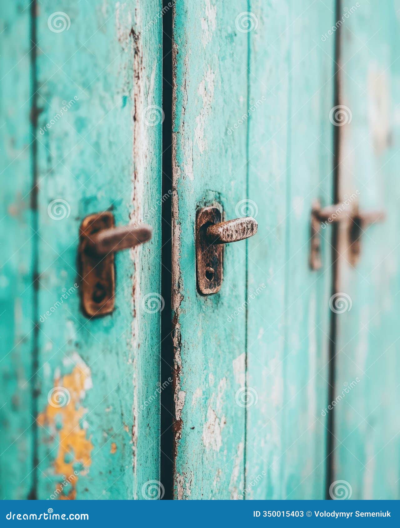 Weathered Turquoise Doors Showcase Rustic Charm and Timeless Beauty in ...