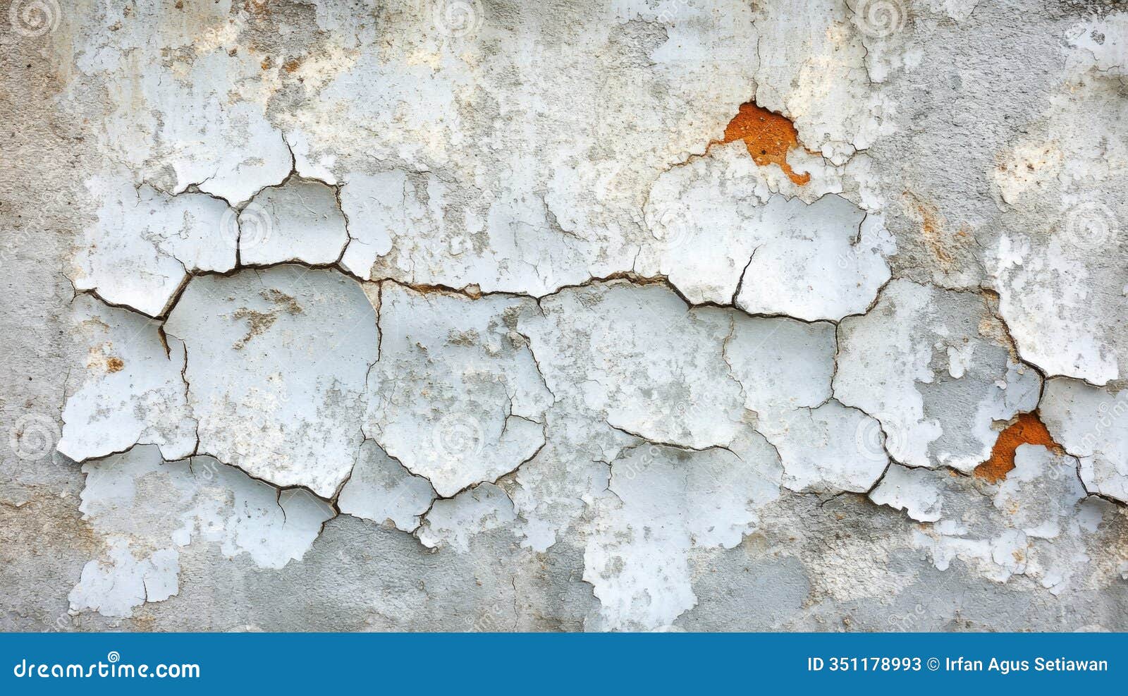 Weathered Wall Paint Showing Extensive Cracking and Damage Stock ...