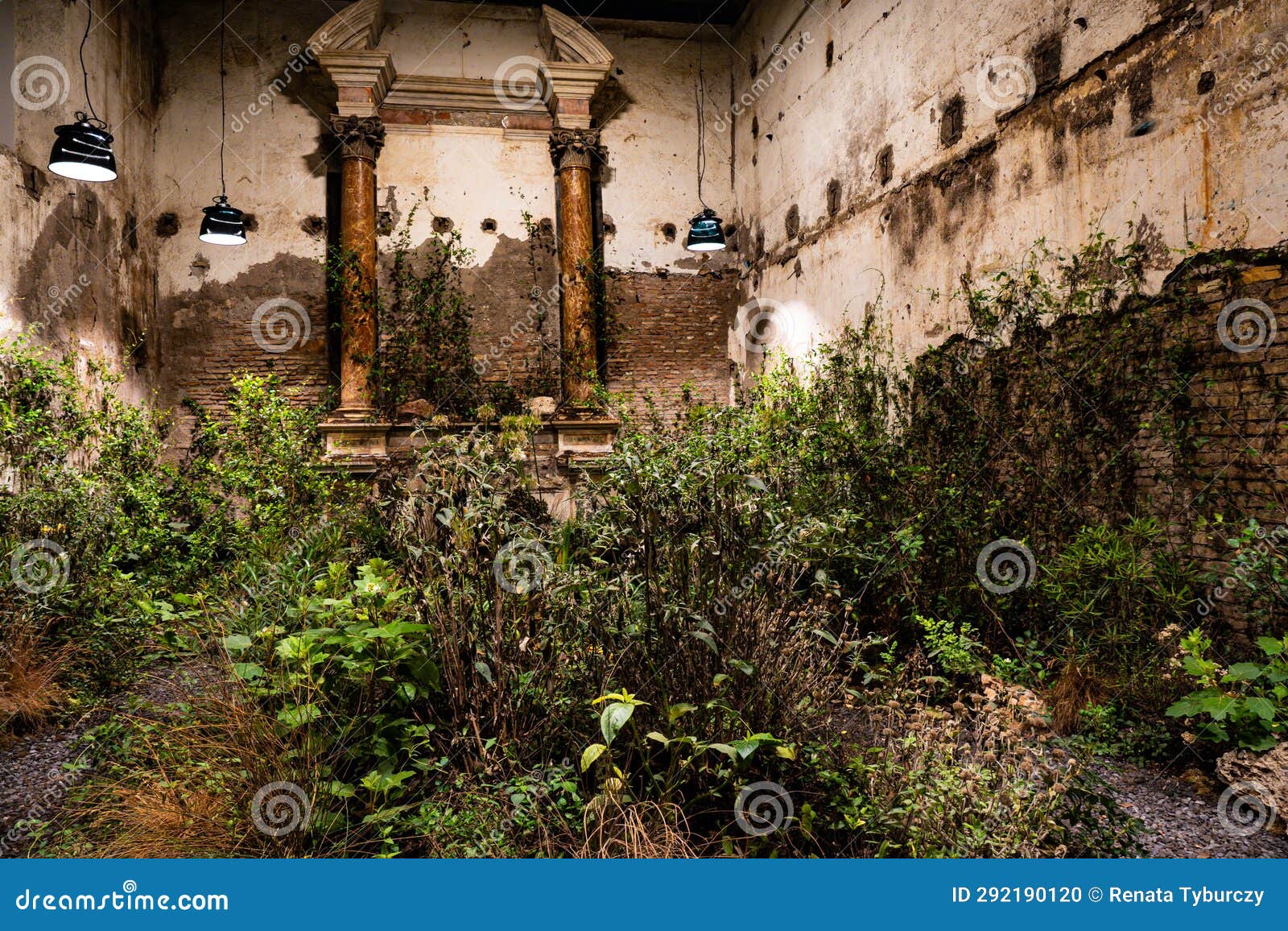 Weathered Walls with Tall Grass Inside. Inside of Ruined Old Building ...