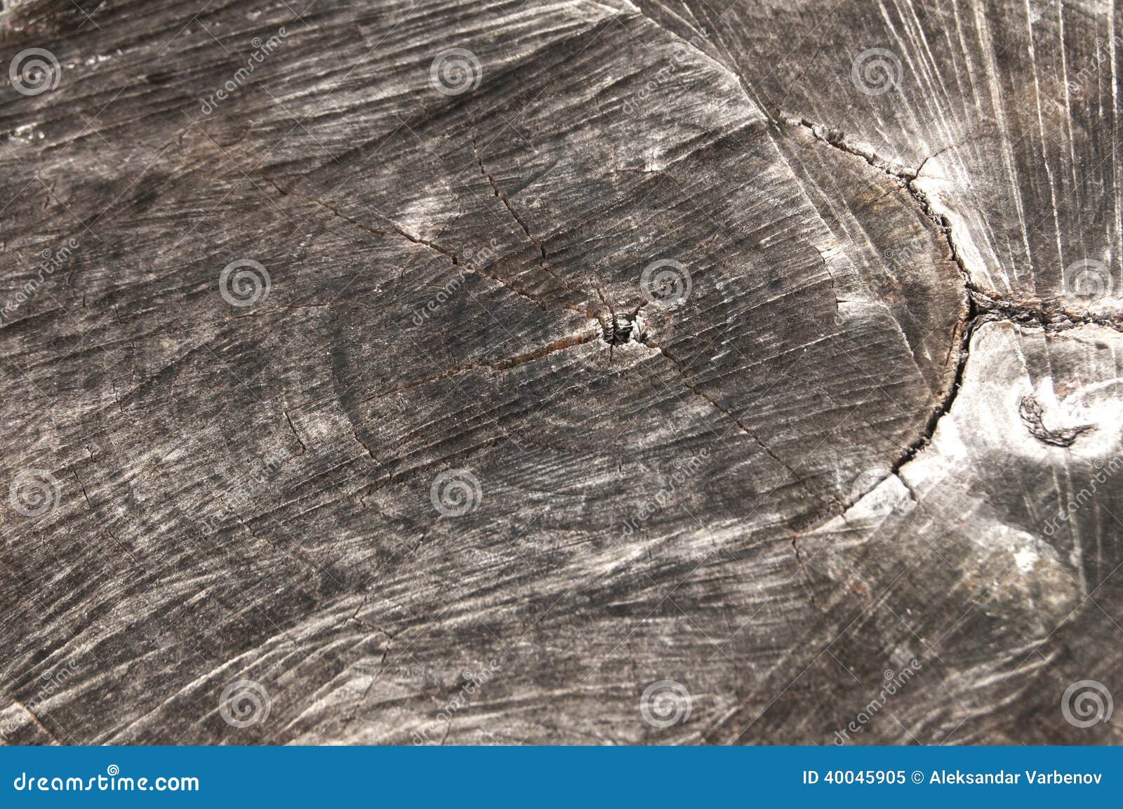Weathered walnut log stock image. Image of wooden, walnut - 40045905