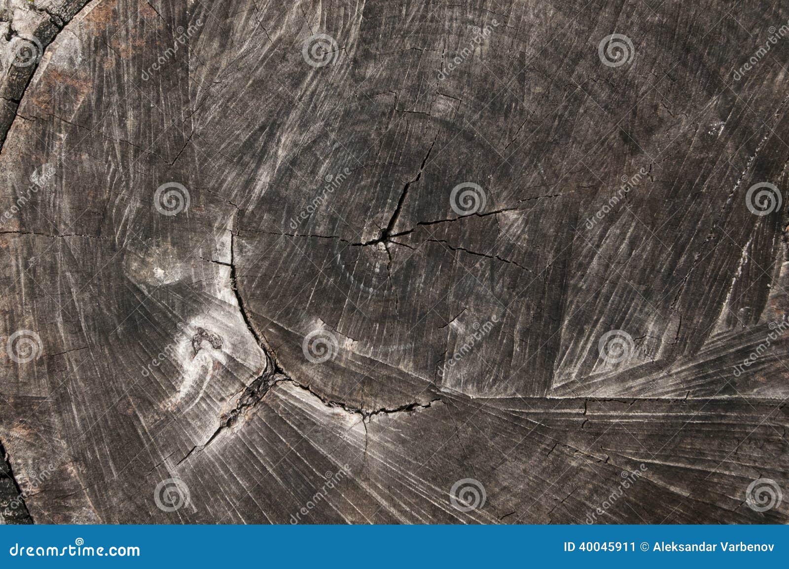 Weathered walnut log stock image. Image of timber, surface - 40045911