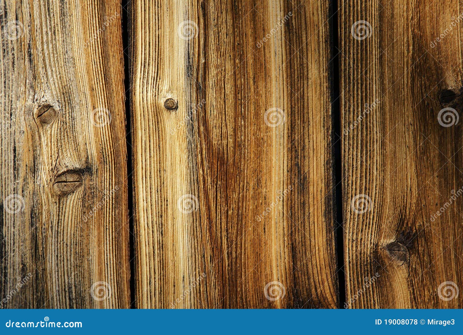 Weathered wood stock photo. Image of timber, closeup - 19008078