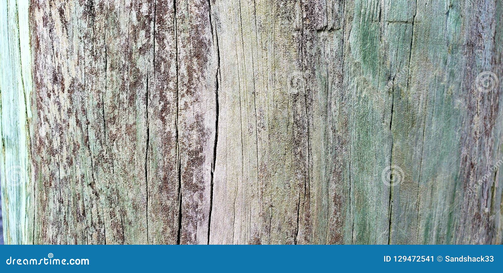 Weathered wood background stock image. Image of foam - 129472541