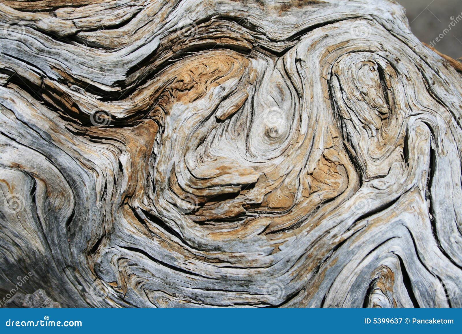 Swirled Wood Texture Stock Photography | CartoonDealer.com #2817590