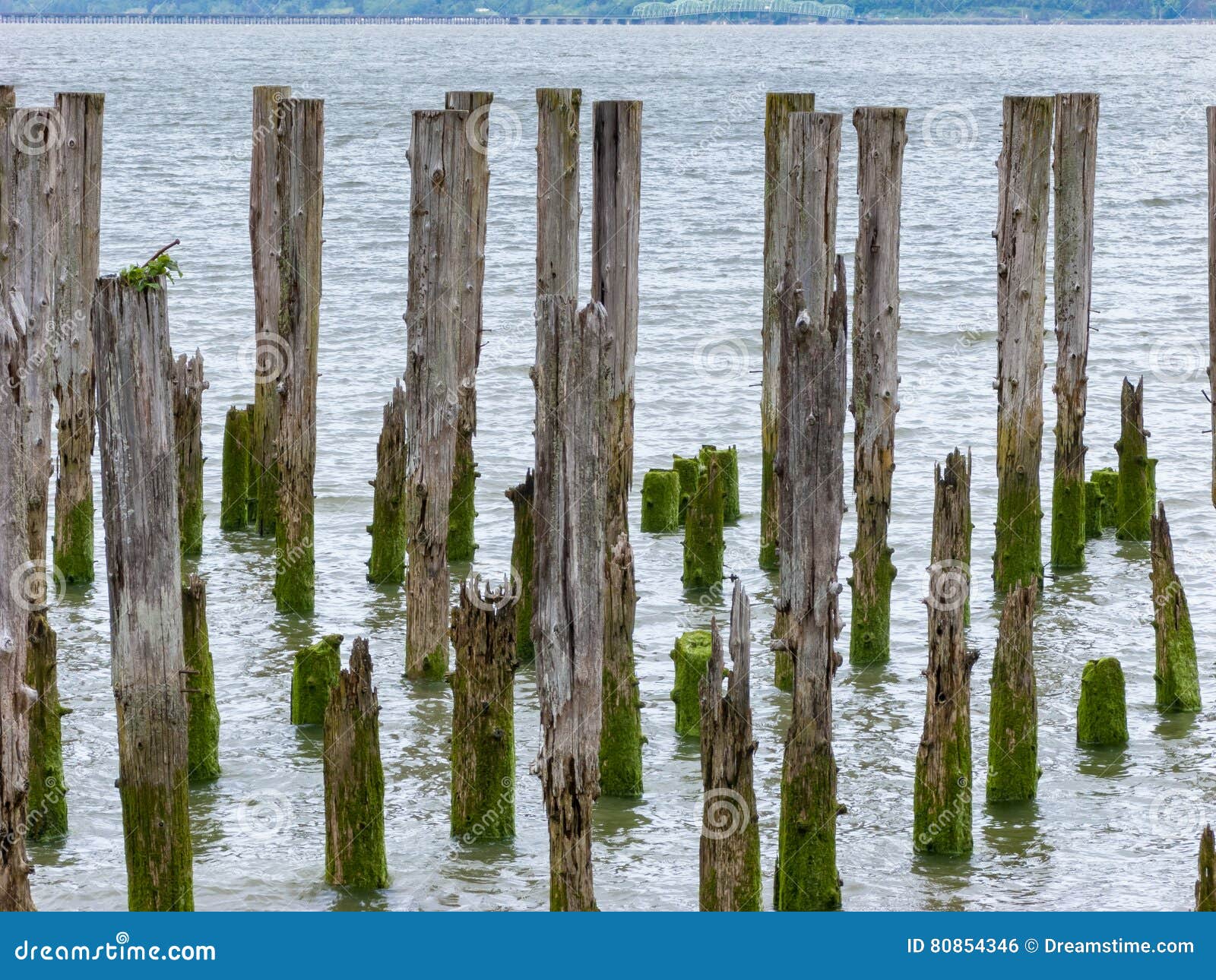 Weathered Wood Dock Planks 1 Stock Photo - Image of distressed ...