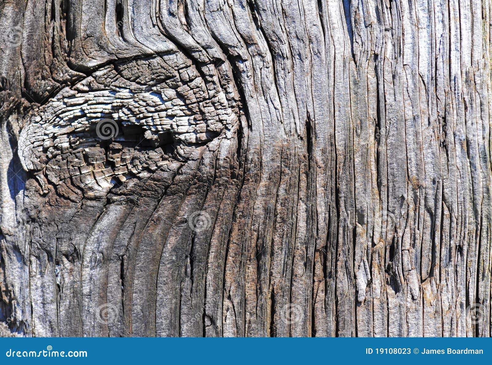 Weathered Wood Fence Post Knot Stock Image - Image of grain, cracking ...