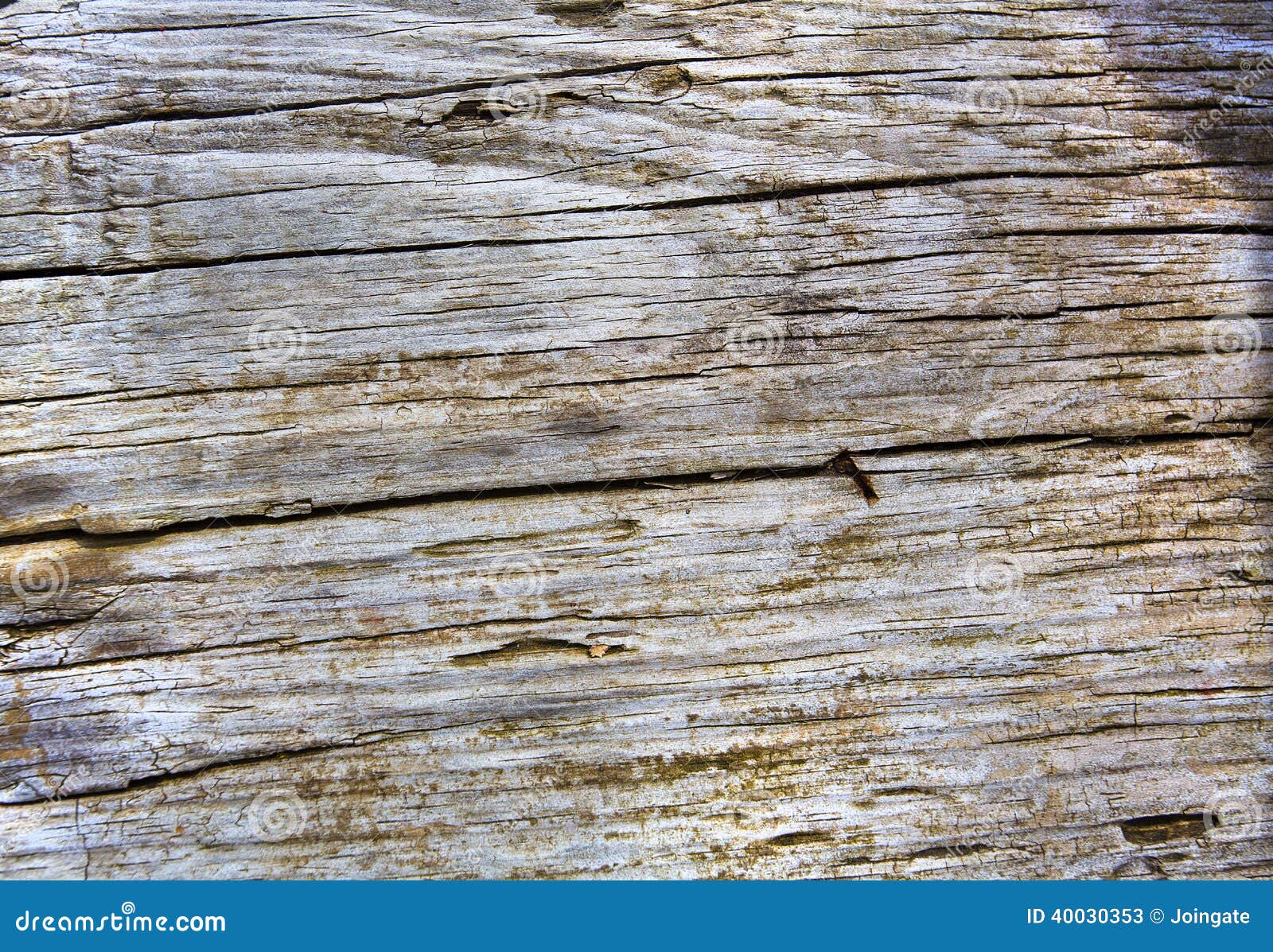 Weathered Wood Found at the Beach Close Up Stock Image - Image of ...