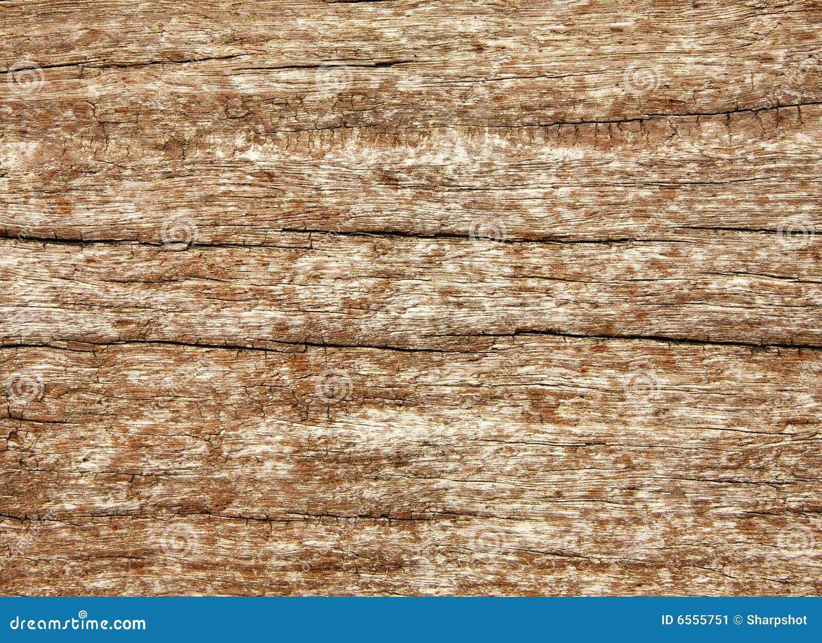 Weathered Wood Grain Texture. Stock Image - Image of color, abstract ...