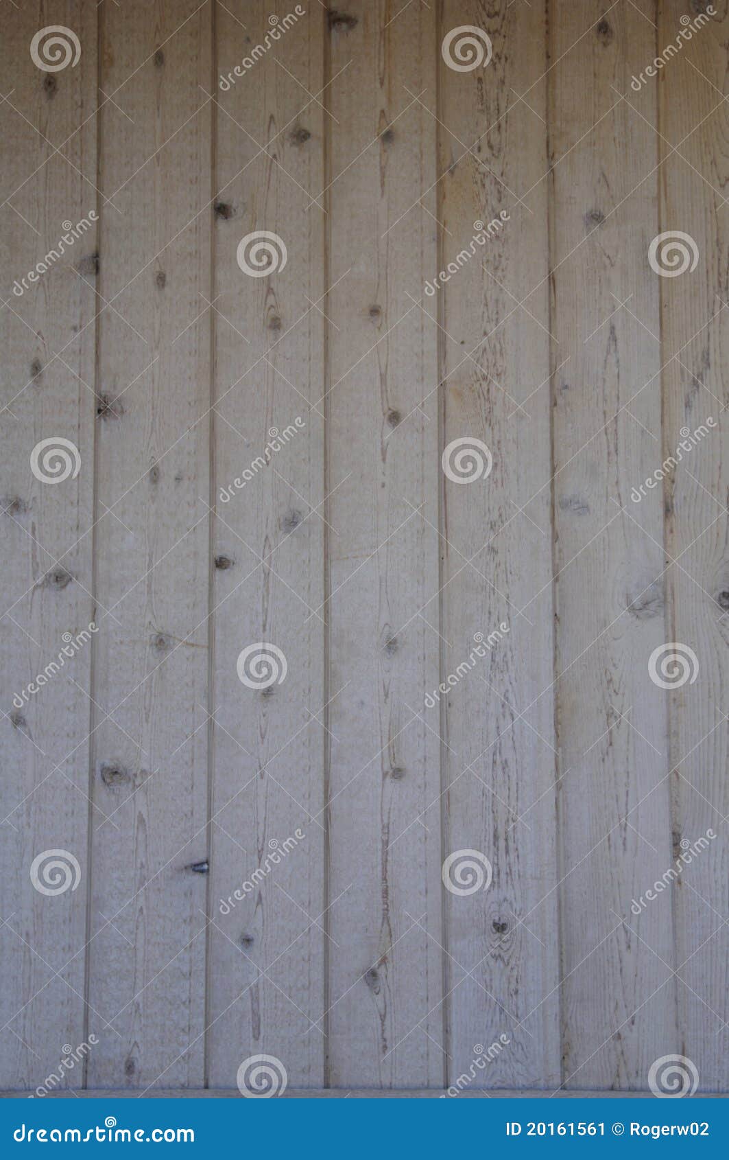 Weathered Wood Panel stock image. Image of gray, knotty - 20161561