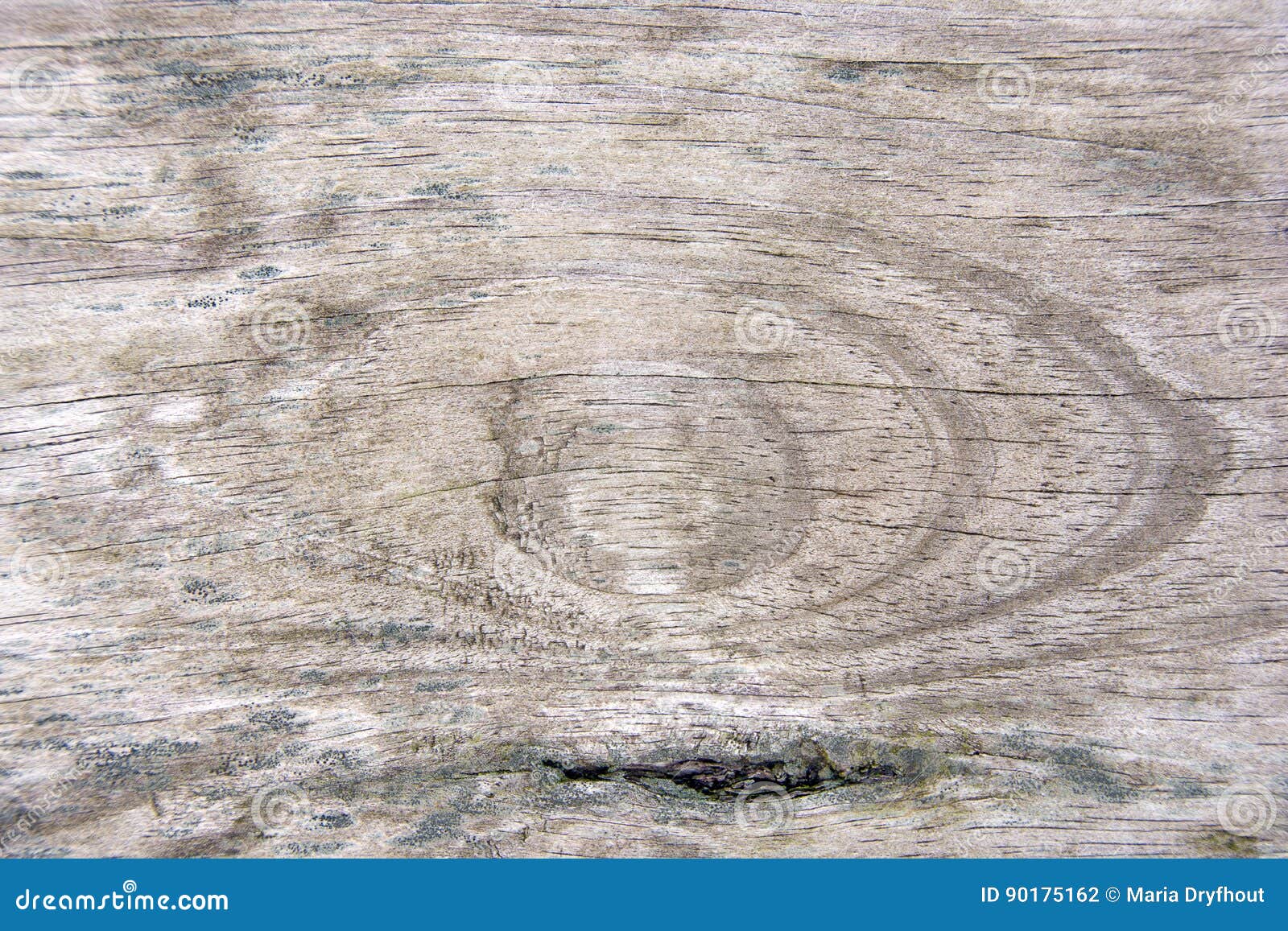 Weathered wood pattern stock photo. Image of design, tree - 90175162