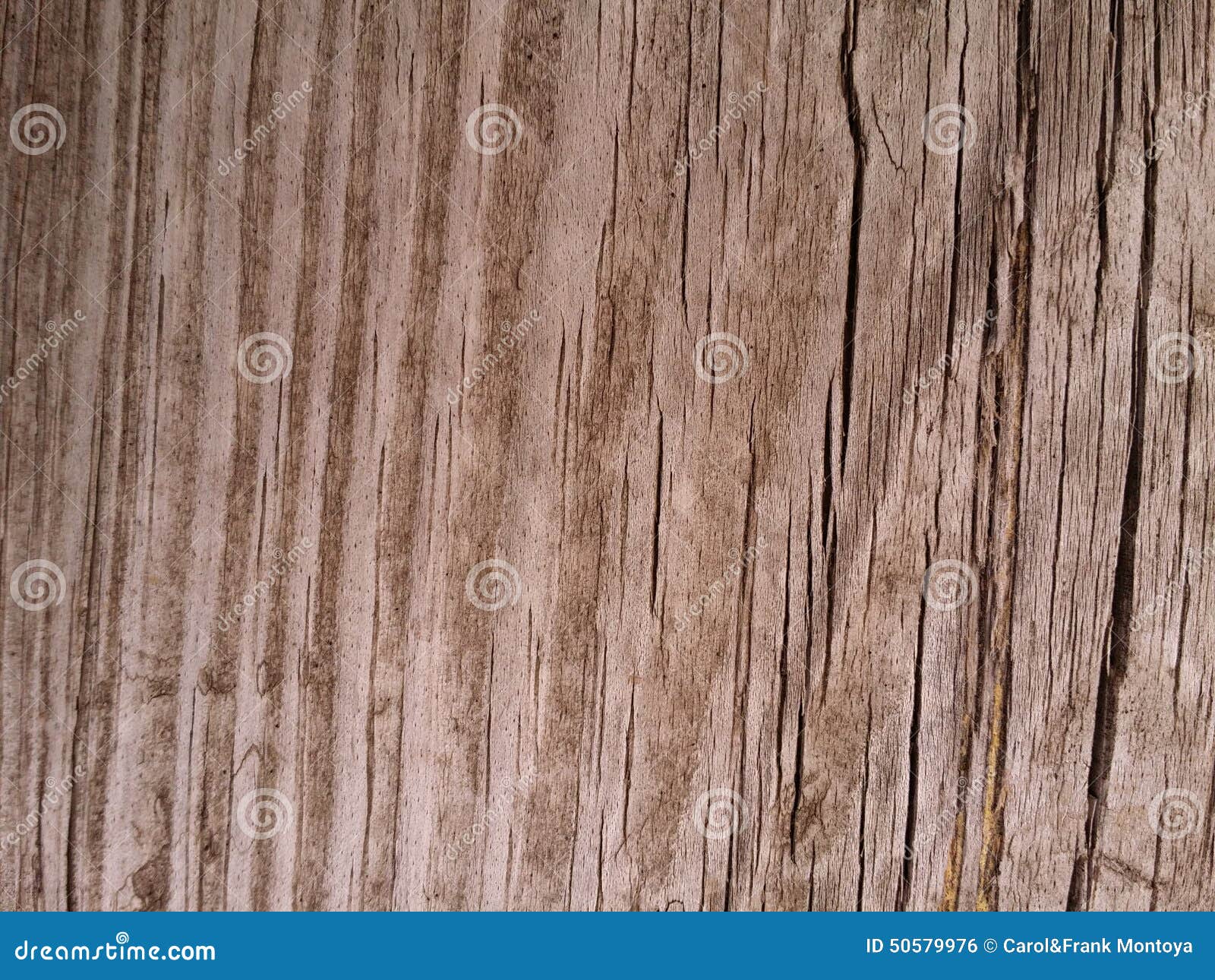 Weathered Wood texture stock photo. Image of woodgrain - 50579976