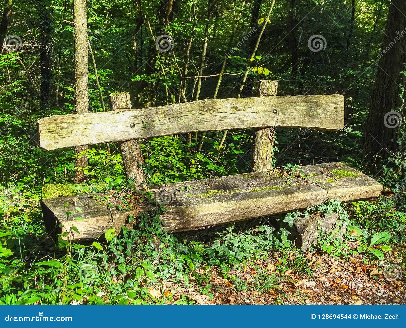 Weathered Wooden Bench in Focus with Moss Stock Photo - Image of ...