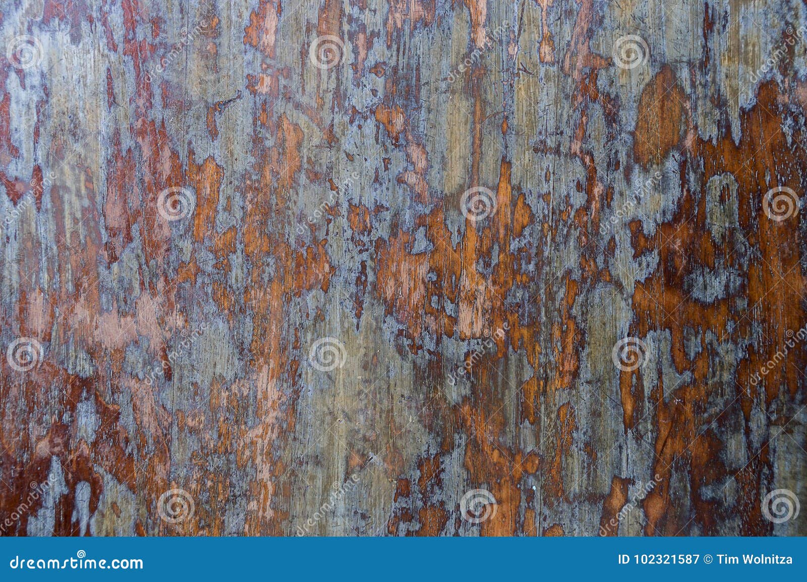 Wooden Texture stock image. Image of panel, floor, grungy - 102321587