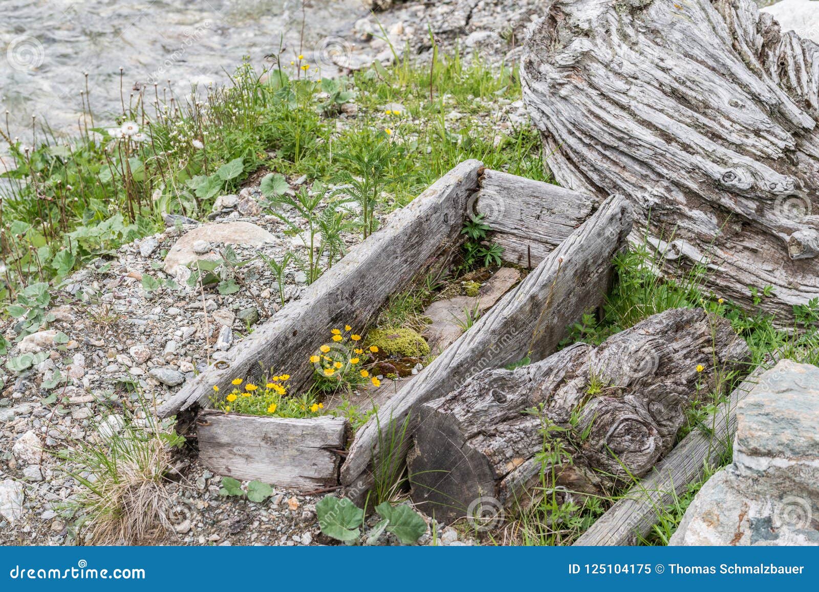 Weathered Wooden Trough, Austria Stock Image - Image of historic ...