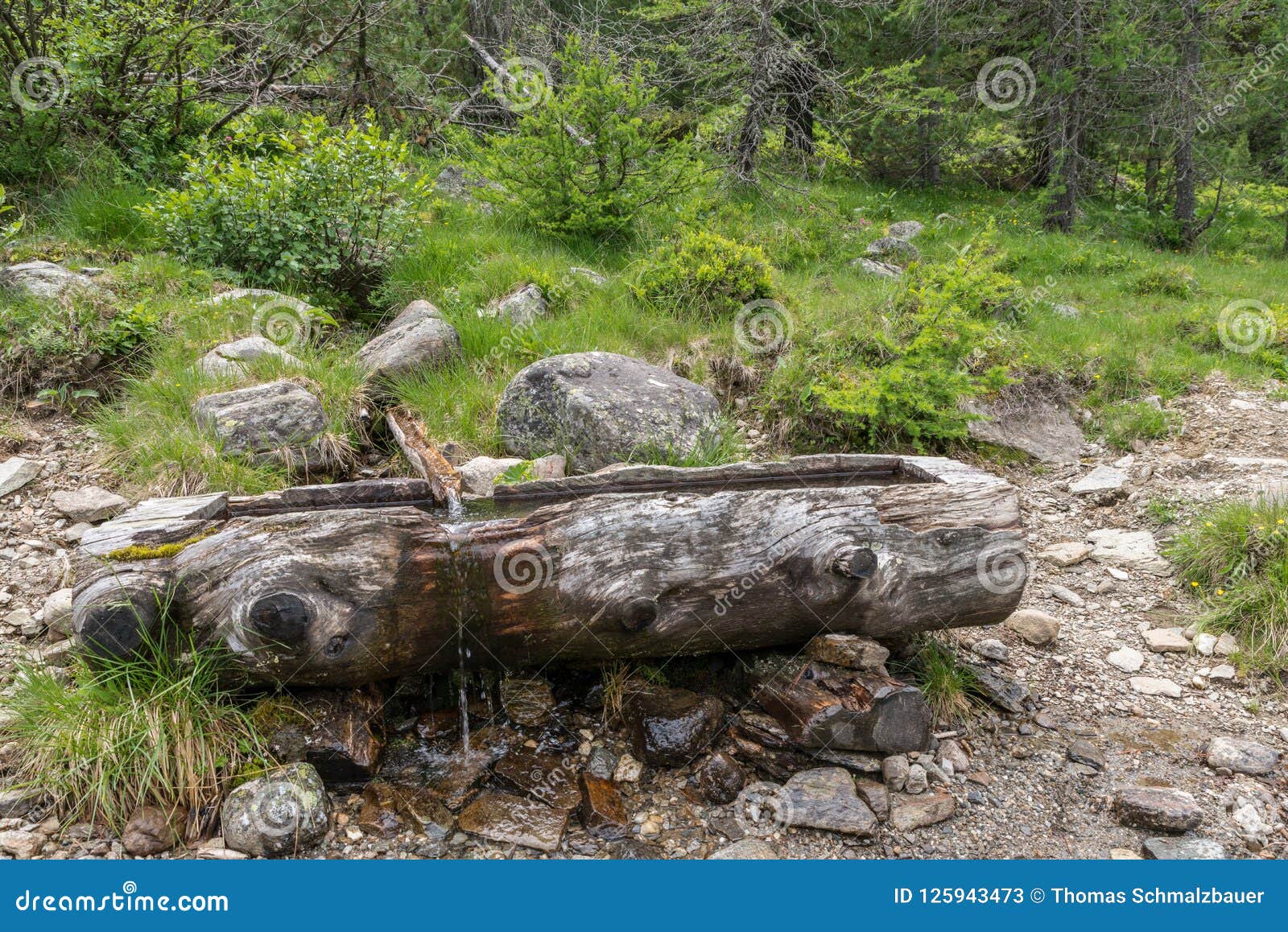 Weathered Wooden Trough for Water Well, Austria Stock Image - Image of ...