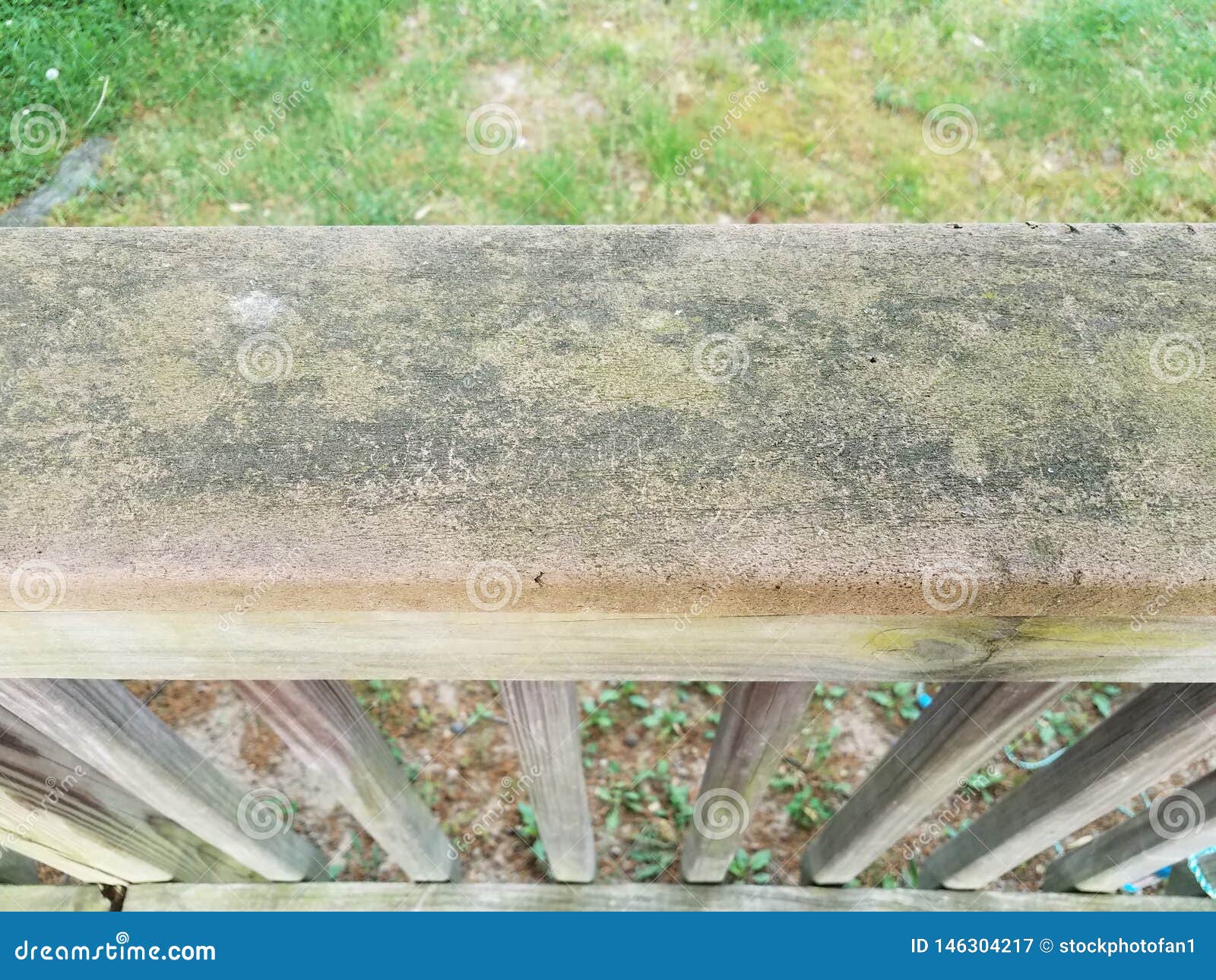 Weathered or Worn Discolored Wood Deck with Green Algae Stock Image ...