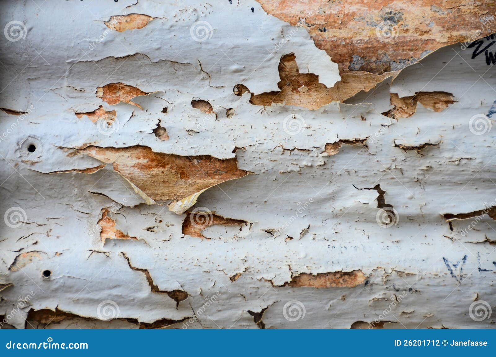 Weathered Wrought Iron stock photo. Image of weathered - 26201712