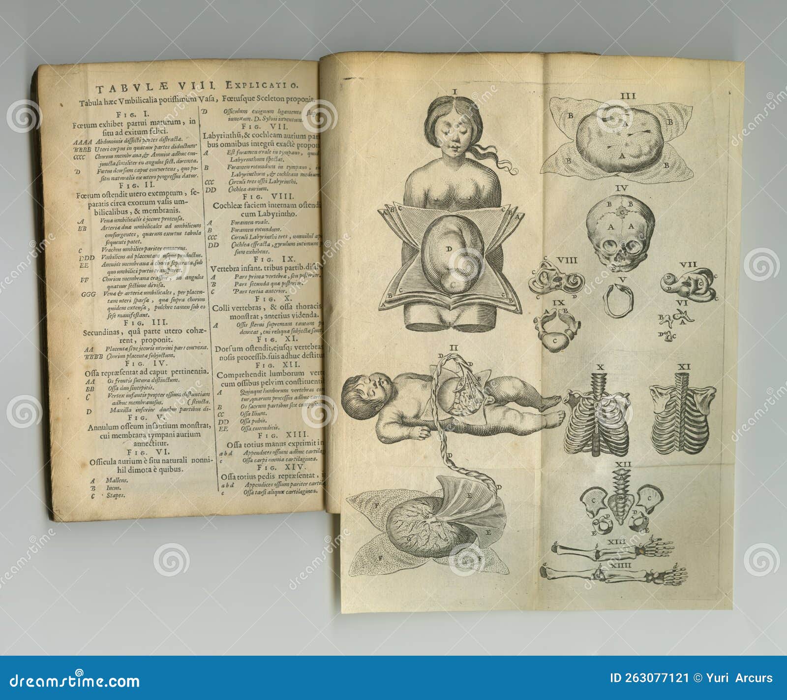 Weathered and Yellowed Edical Journal. an Old Anatomy Book with Its ... Weathered and Yellowed Edical Journal. an Old Anatomy Book with Its ...