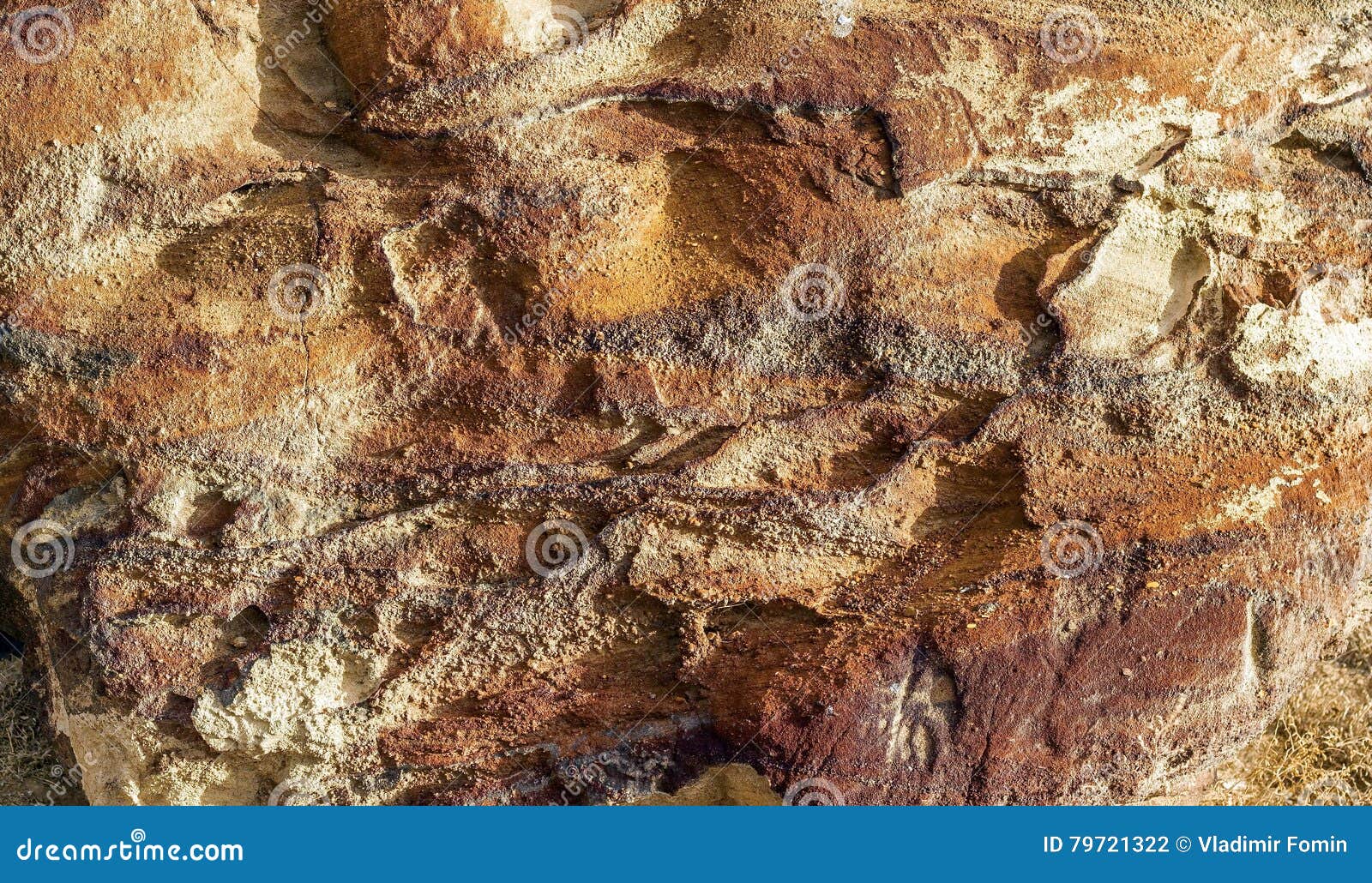 Weathering crust. stock photo. Image of shades, horses - 79721322