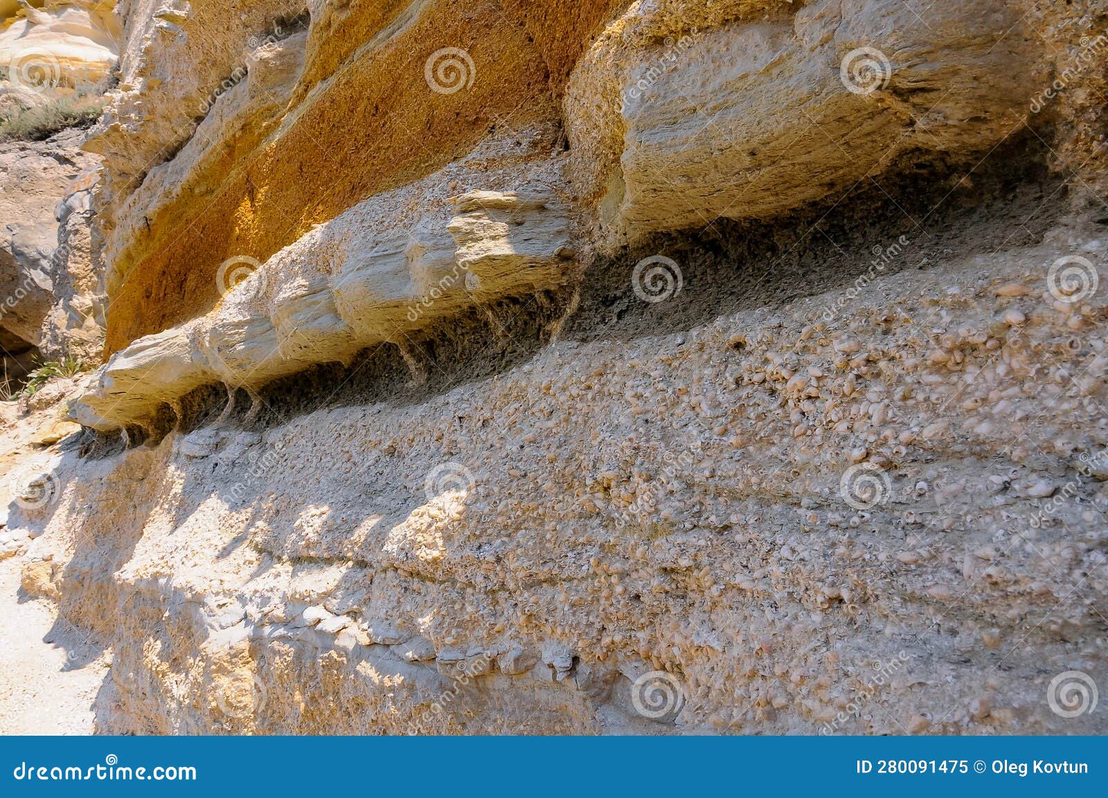 Weathering and Destruction of Shells of Extinct Mollusks in the Crimea ...