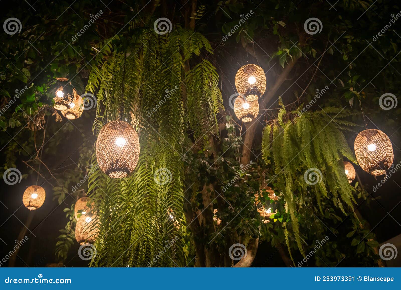Weave Rattan Light Bulbs Hanging on Big Trees Stock Image - Image of ...