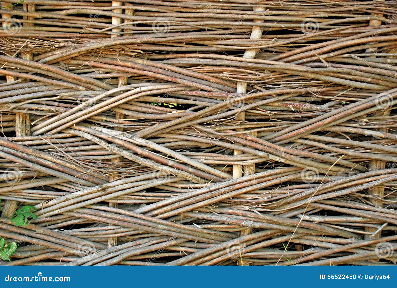 Weaved stalk stock photo. Image of weave, wood, brown - 56522450