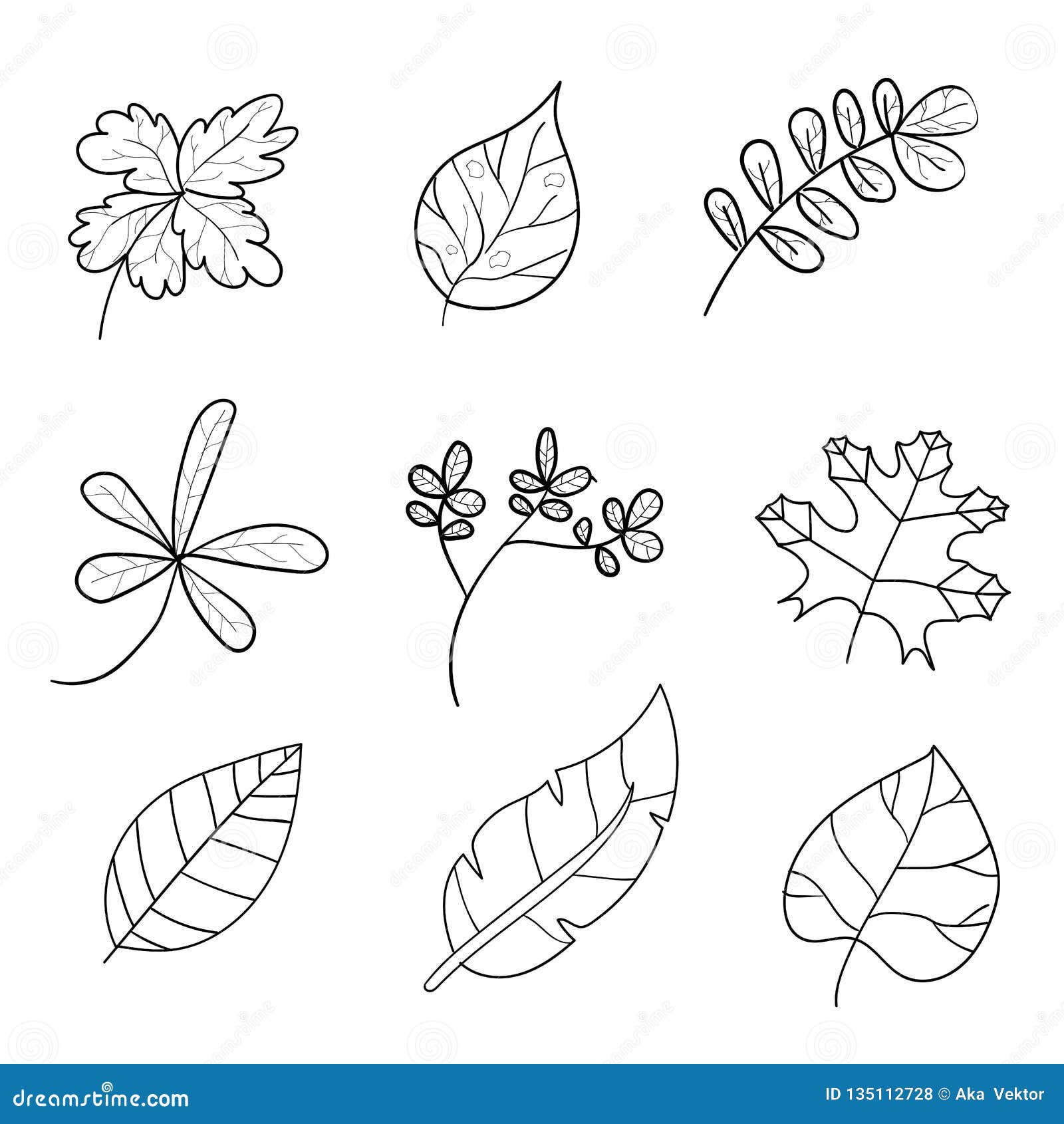 Hand Drawn Set of Vector Tropical Leave Icons. Leave Hand Drawn Stock ...