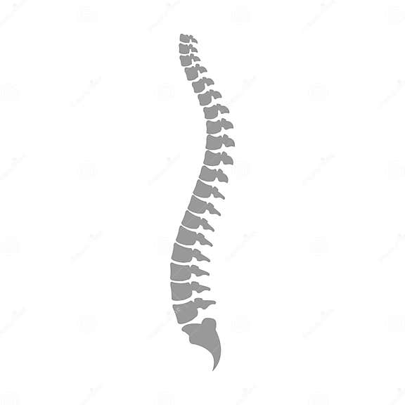 Back Pain Vector Icon - Vector Stock Vector - Illustration of bone ...