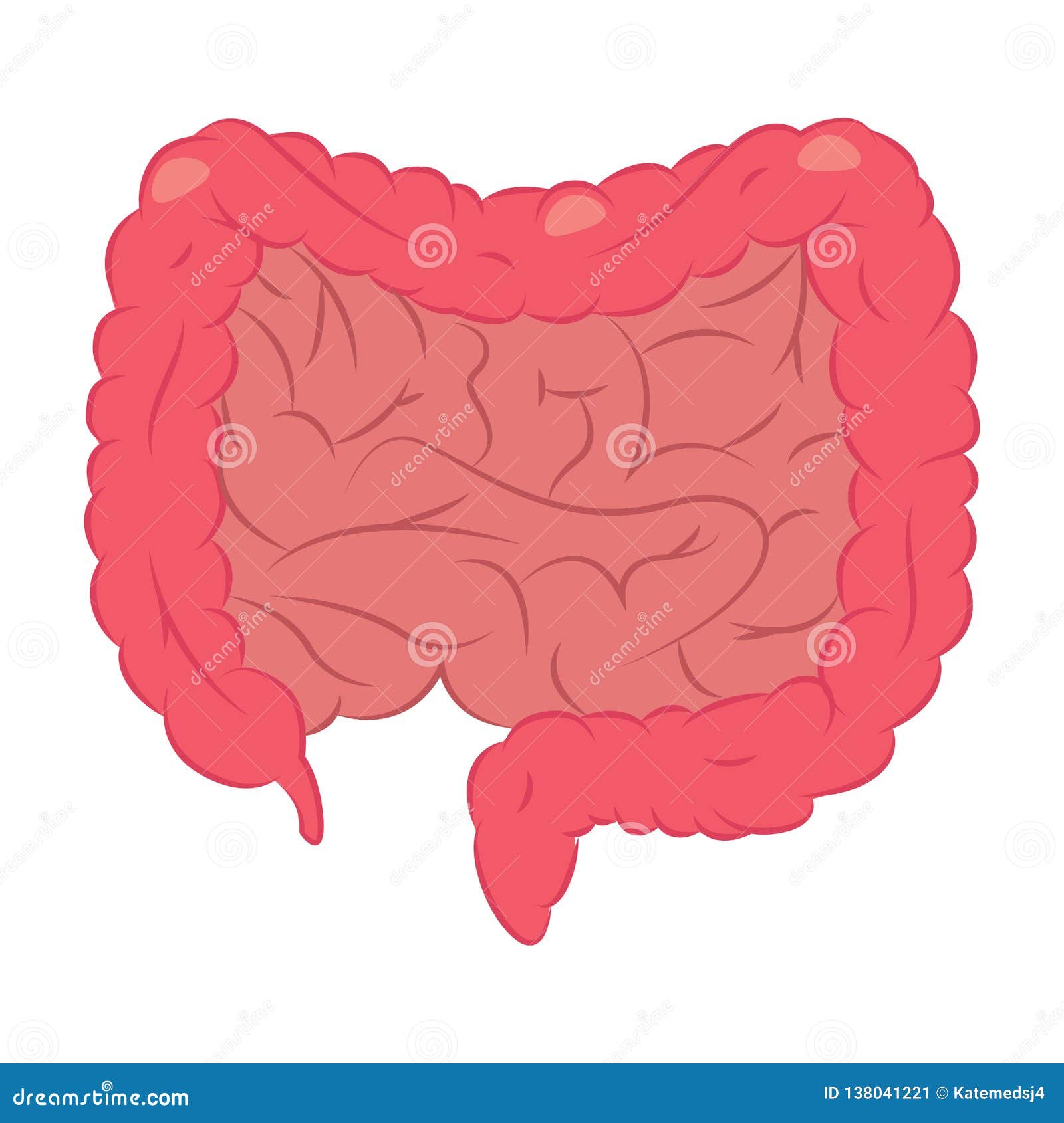 Guts Illustration. Drawing Of Guts | CartoonDealer.com #138041221