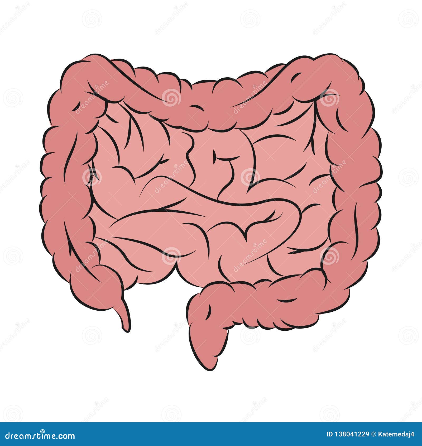 Guts Illustration. Drawing of Guts Stock Illustration - Illustration of ...