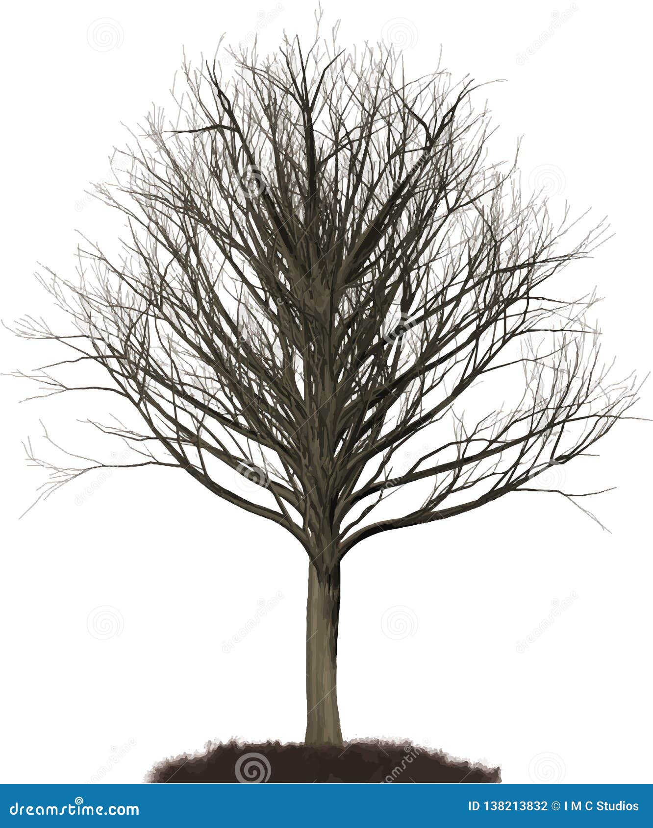 Winter Oak Tree Illustration | CartoonDealer.com #138213832