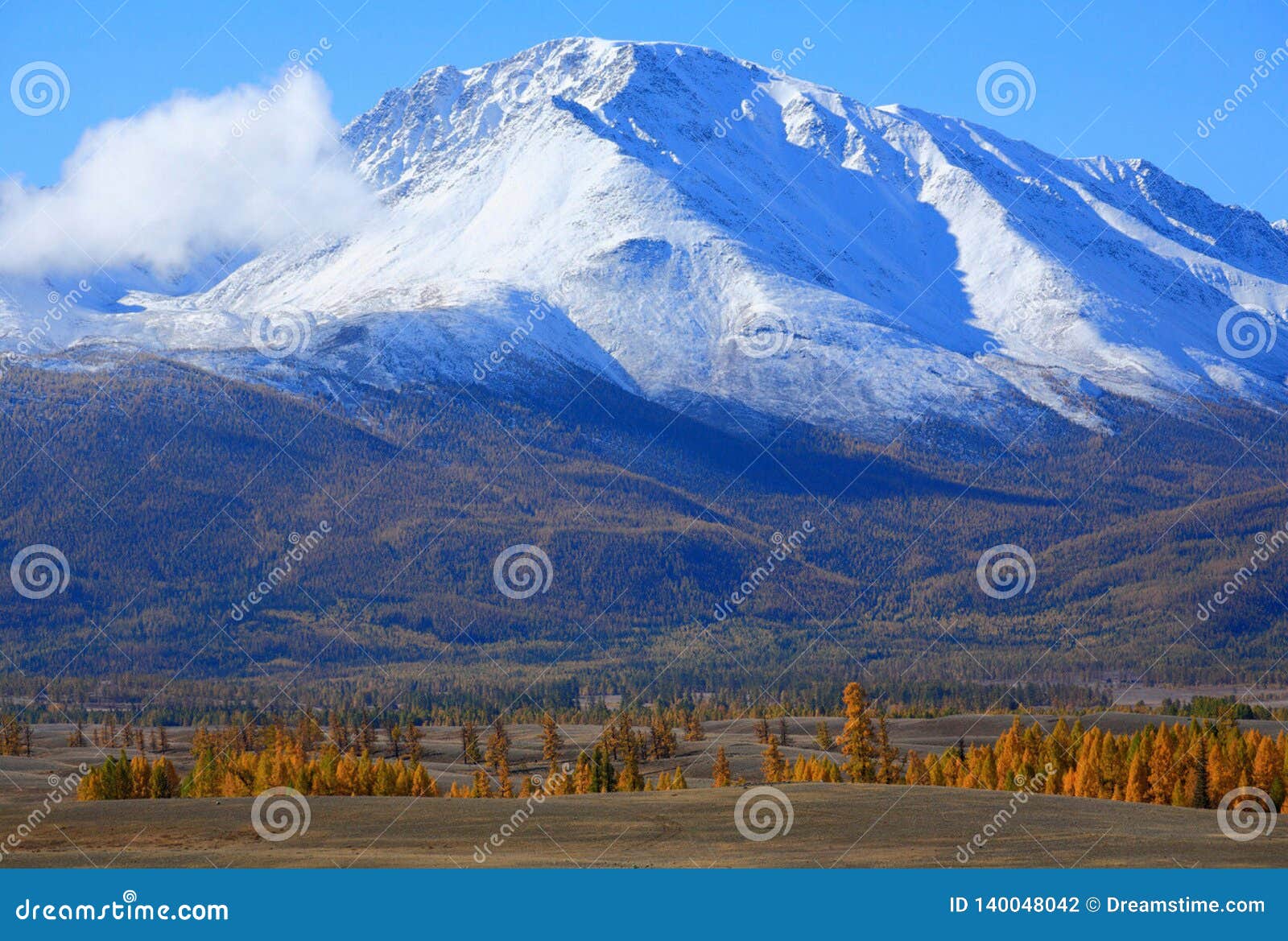 Nice Picture with Green Landscape and Mountains of High Resolution ...