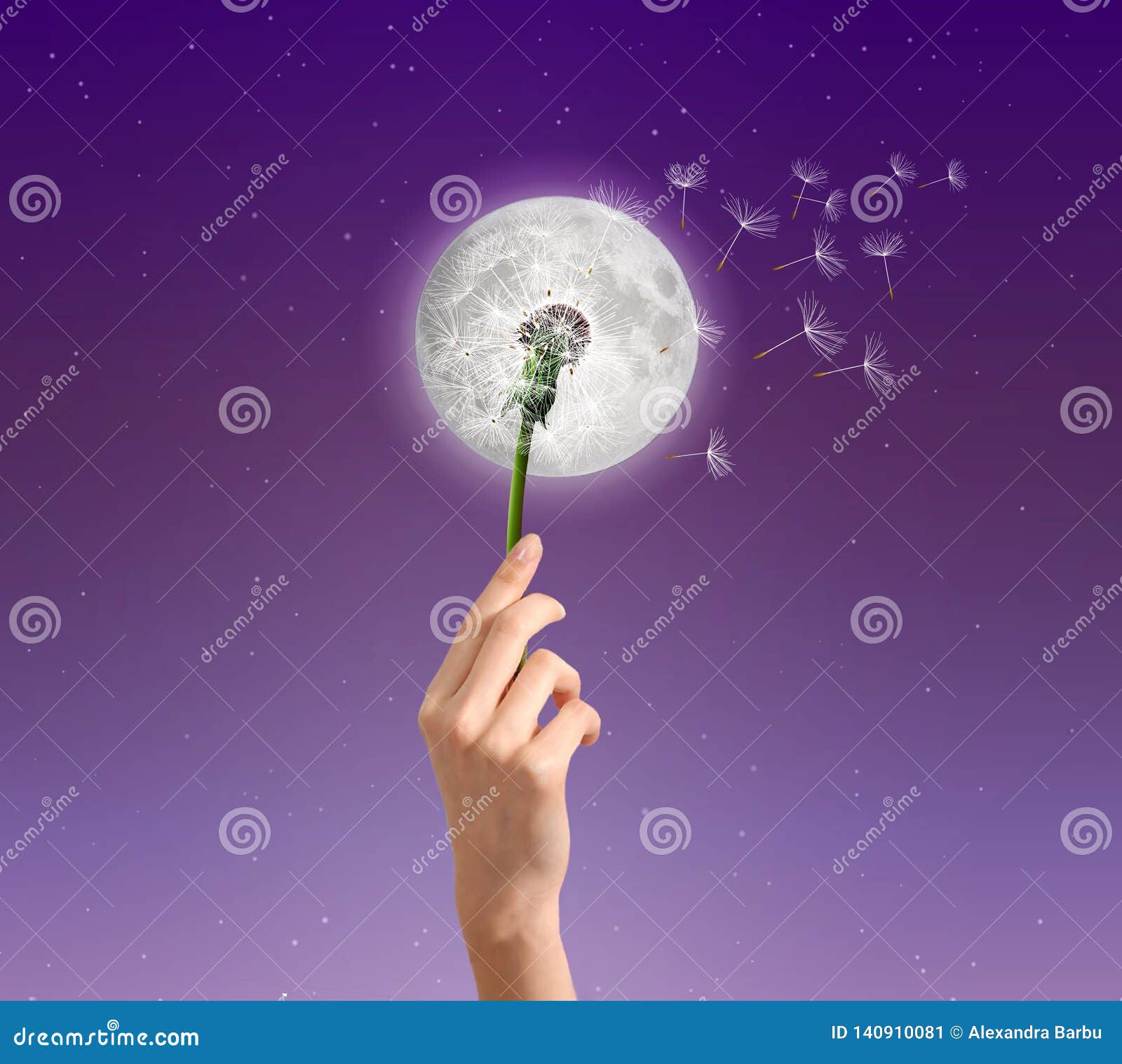 Moon Flower Dandelion Abstract Dream, Wish Symbol Stock Image - Image ...
