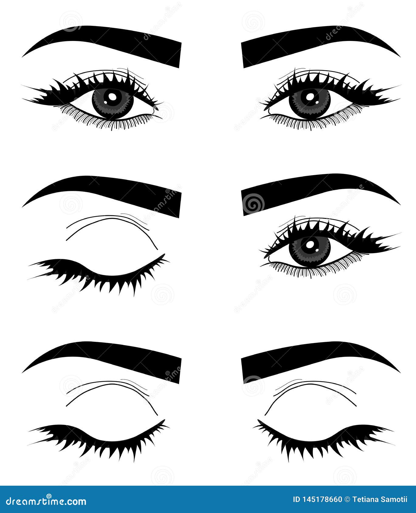 Web. Micro Blending. Vector of Eyes, Eyelids and Eyebrows. Logo of a ...
