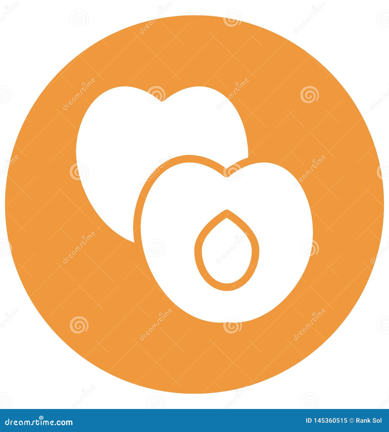 Apricot Isolated Vector Icon Which Can Easily Modify or Edit Stock ...